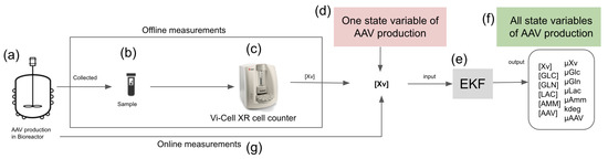 Monitoring the Recombinant Adeno-Associated Virus Production using ...