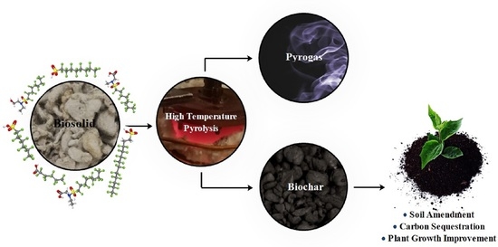 Processes | Free Full-Text | High-Temperature Pyrolysis for Elimination ...