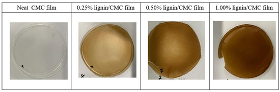 Synthesis and Characterization of Lignin-Incorporated Carboxymethyl ...