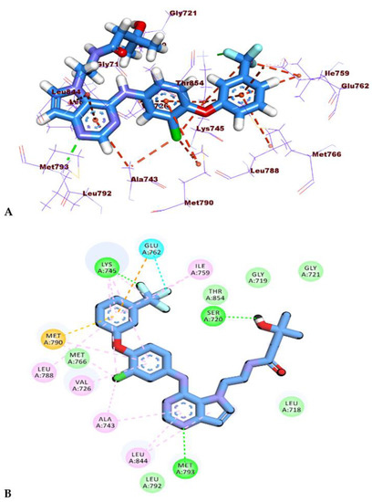A New Theobromine-Based EGFRWT and EGFRT790M Inhibitor and Apoptosis ...