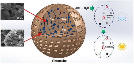 Resource Utilization of Lake Sediment to Prepare “Sponge” Light ...