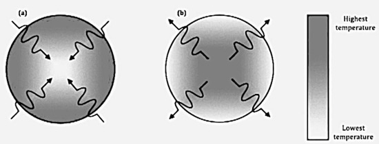Processes | Free Full-Text | Tungsten Heavy Alloys Processing via ...