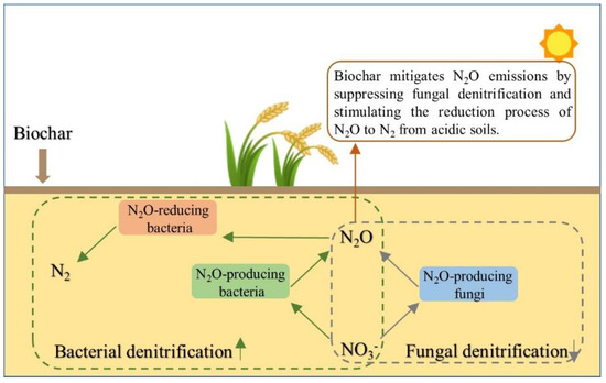 Microbial-Mediated Emissions of Greenhouse Gas from Farmland Soils: A Review