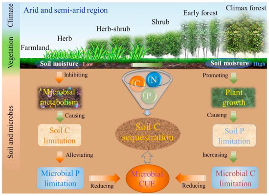 Progress on the Effect of Nitrogen on Transformation of Soil Organic Carbon