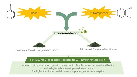 Processes | Free Full-Text | Limited Phosphorous Supply Improved Lipid ...