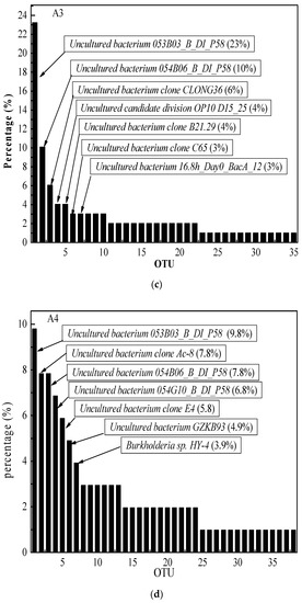 The Dynamic Shift of Bacterial Communities in Hybrid Anaerobic Baffled ...
