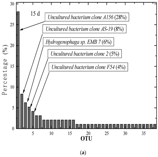 The Dynamic Shift of Bacterial Communities in Hybrid Anaerobic Baffled ...