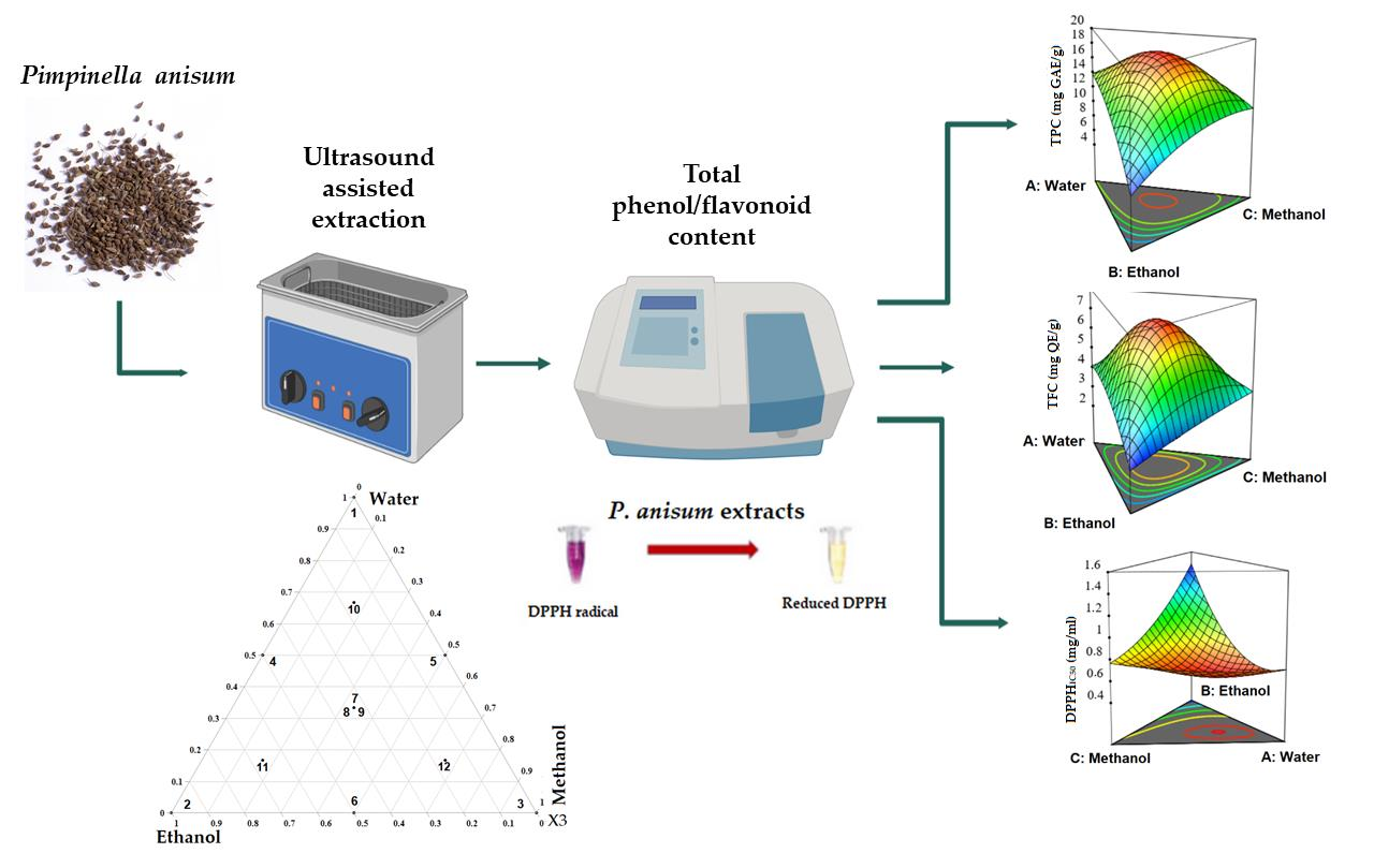 Processes | Free Full-Text | Simultaneous Optimization of Phenolic Compounds and Antioxidant ...