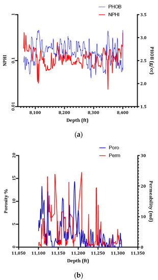 Neural Network Model for Permeability Prediction from Reservoir Well Logs