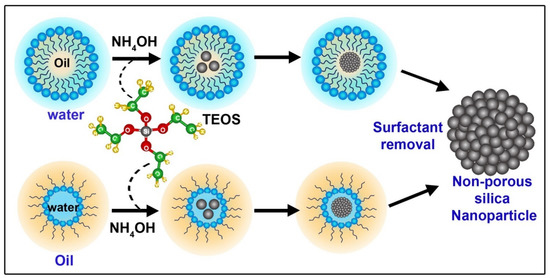 From Synthetic Route of Silica Nanoparticles to Theranostic Applications