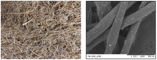 Non-Woven Filters Made of PLA via Solution Blowing Process for ...