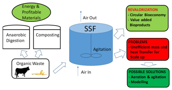 Solid-State Fermentation from Organic Wastes: A New Generation of ...