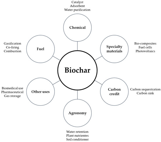 Life Cycle Assessment (LCA) of Biochar Production from a Circular ...