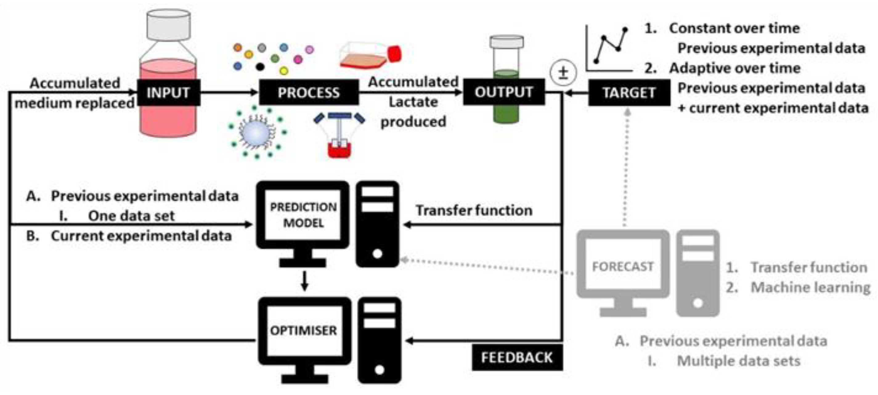 Real-Time Cell Growth Control Using a Lactate-Based Model Predictive Controller