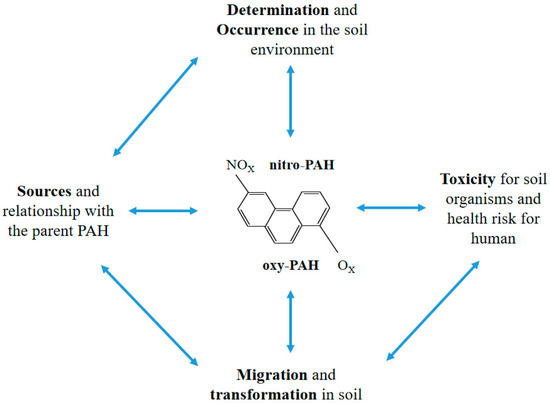 Oxygenated and Nitrated Polycyclic Aromatic Hydrocarbons: Sources ...