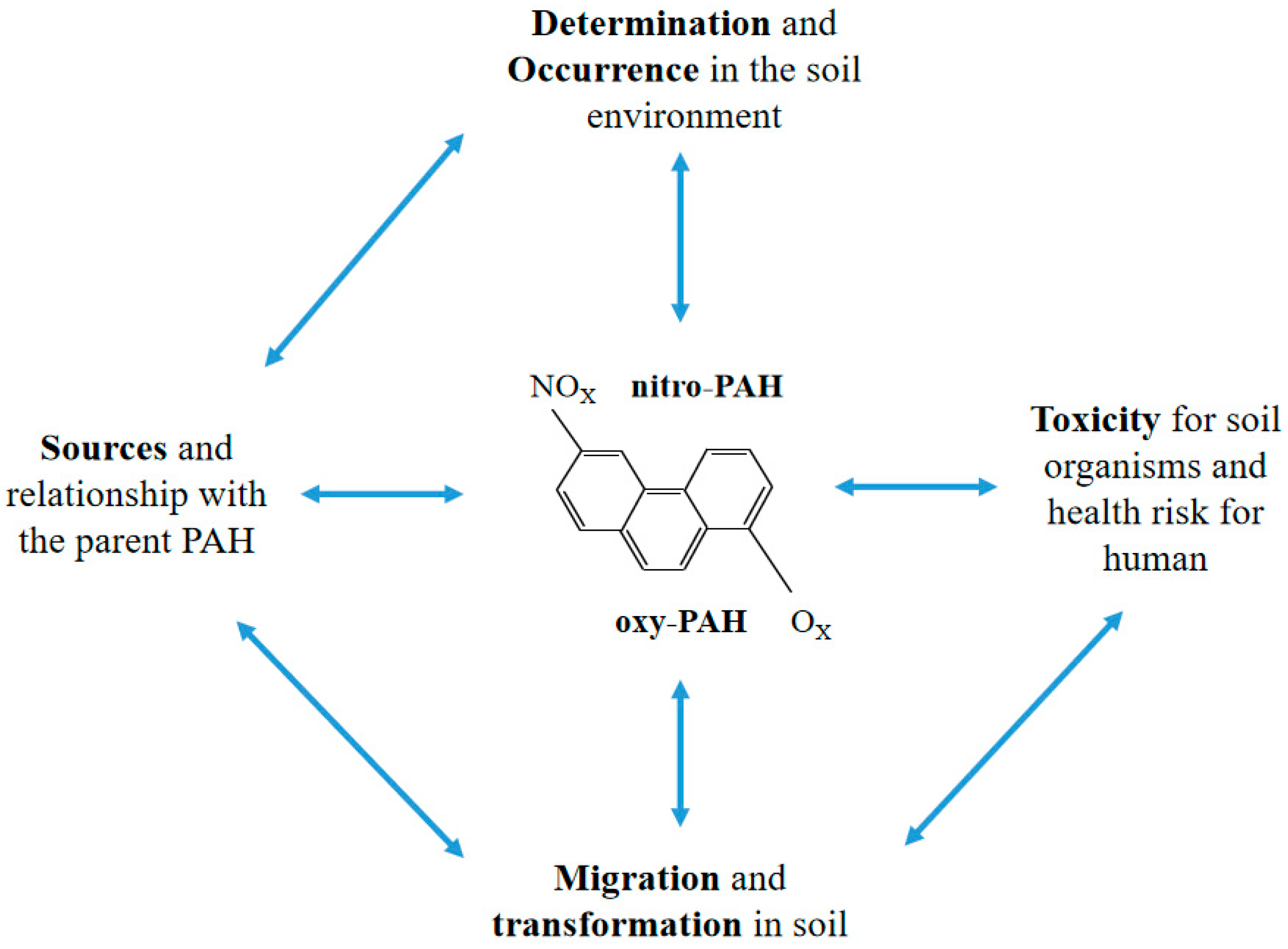 Oxygenated and Nitrated Polycyclic Aromatic Hydrocarbons: Sources, Quantification, Incidence ...