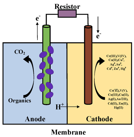 Metal Recovery and Electricity Generation from Wastewater Treatment ...