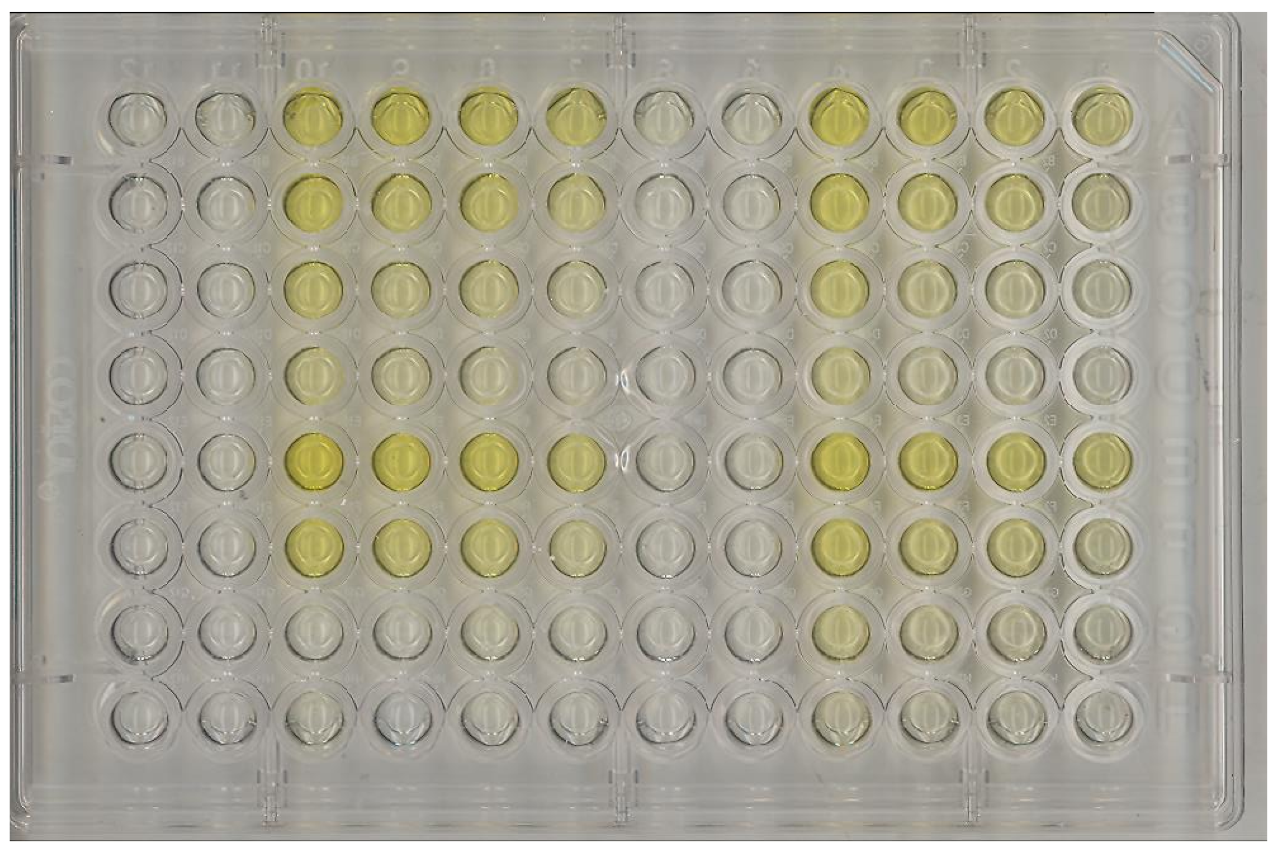 Elisa Plate Yellow Elisa Plate Yellow
