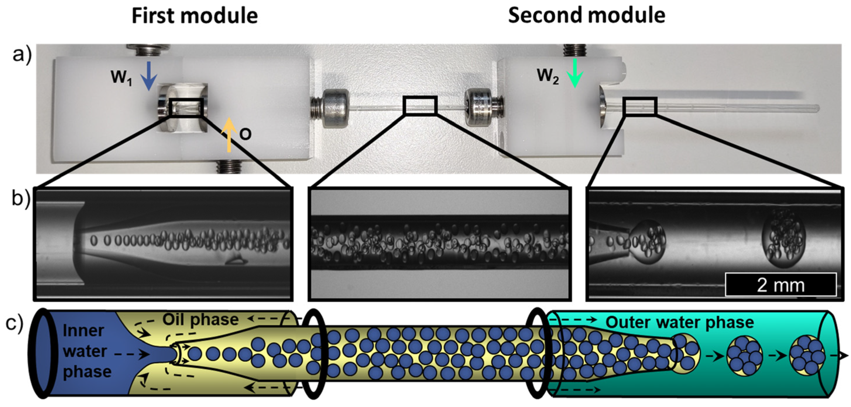 Processes | Free Full-Text | Determination of the Dominating ...