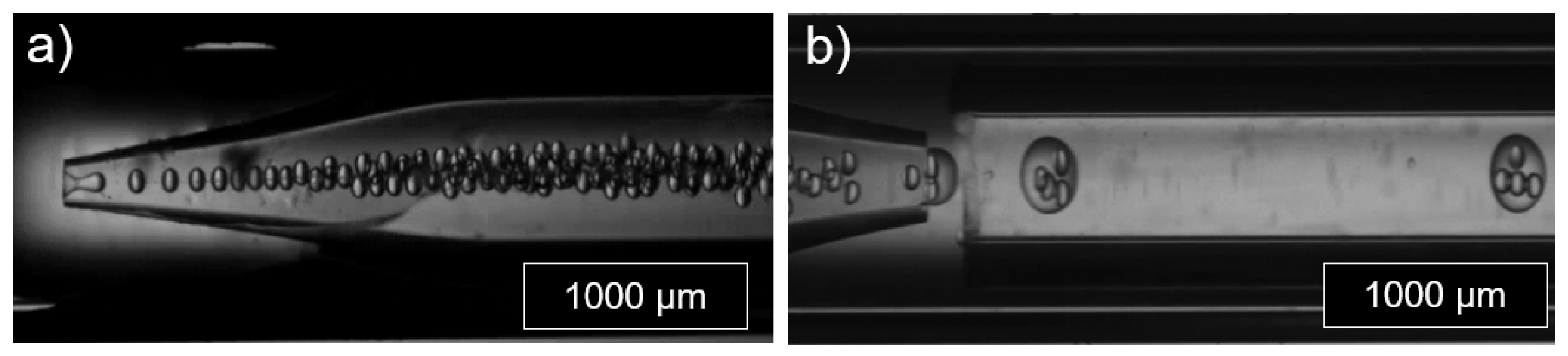 Processes | Free Full-Text | Determination of the Dominating ...