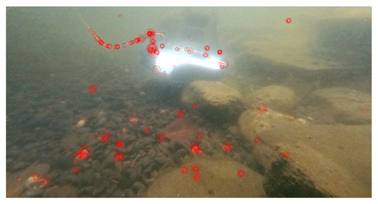 Artificial Intelligence Based Object Detection and Tracking for a Small ...