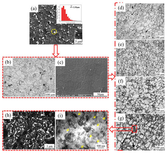 Investigations on Microstructure and Mechanical Properties of AZ91 ...