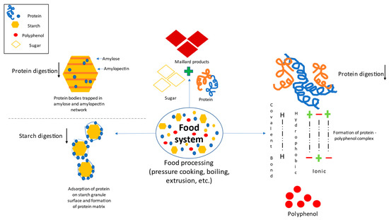 Dough Rheological Properties and Macronutrient Bioavailability of ...