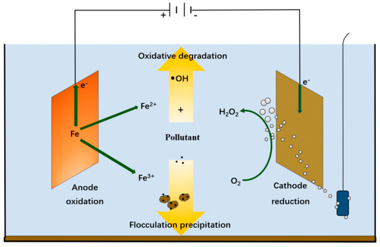 Processes | Free Full-Text | Fenton Reaction–Unique but Still Mysterious