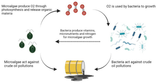 Processes | Free Full-Text | Crude Oil Bioremediation: From Bacteria to Microalgae