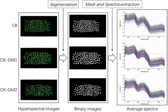 Classification for GM and Non-GM Maize Kernels Based on NIR Spectra and ...