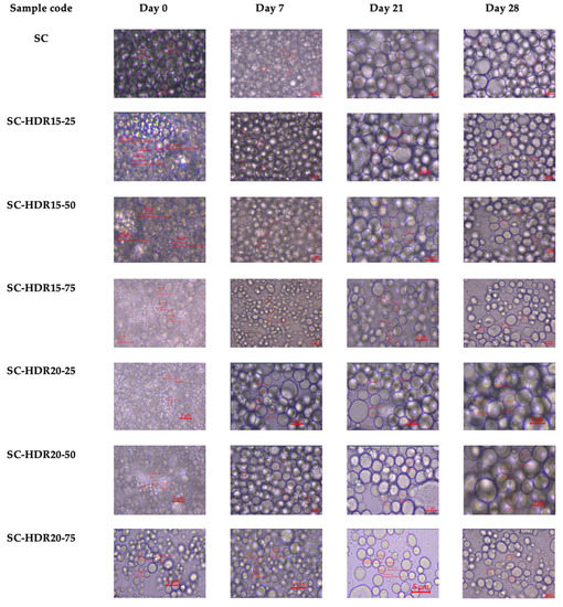 Physicochemical, Rheological, and Microstructural Properties of Low-Fat Mayonnaise Manufactured ...