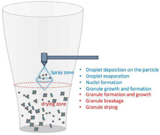 Challenges in the Simulation of Drying in Fluid Bed Granulation