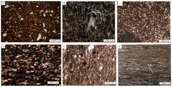 Lithofacies Characteristics and Pore Controlling Factors of New Type of ...