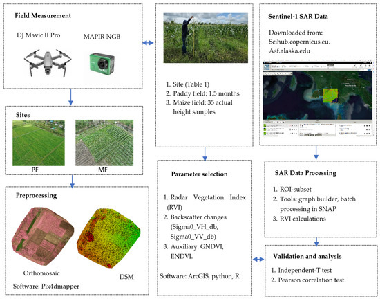 Monitoring of Paddy and Maize Fields Using Sentinel-1 SAR Data and NGB Images: A Case Study in ...