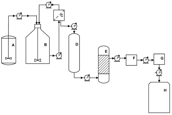 Lactic Acid: A Comprehensive Review of Production to Purification