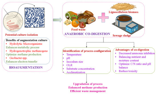 Efficacious Utilization of Food Waste for Bioenergy Generation through ...