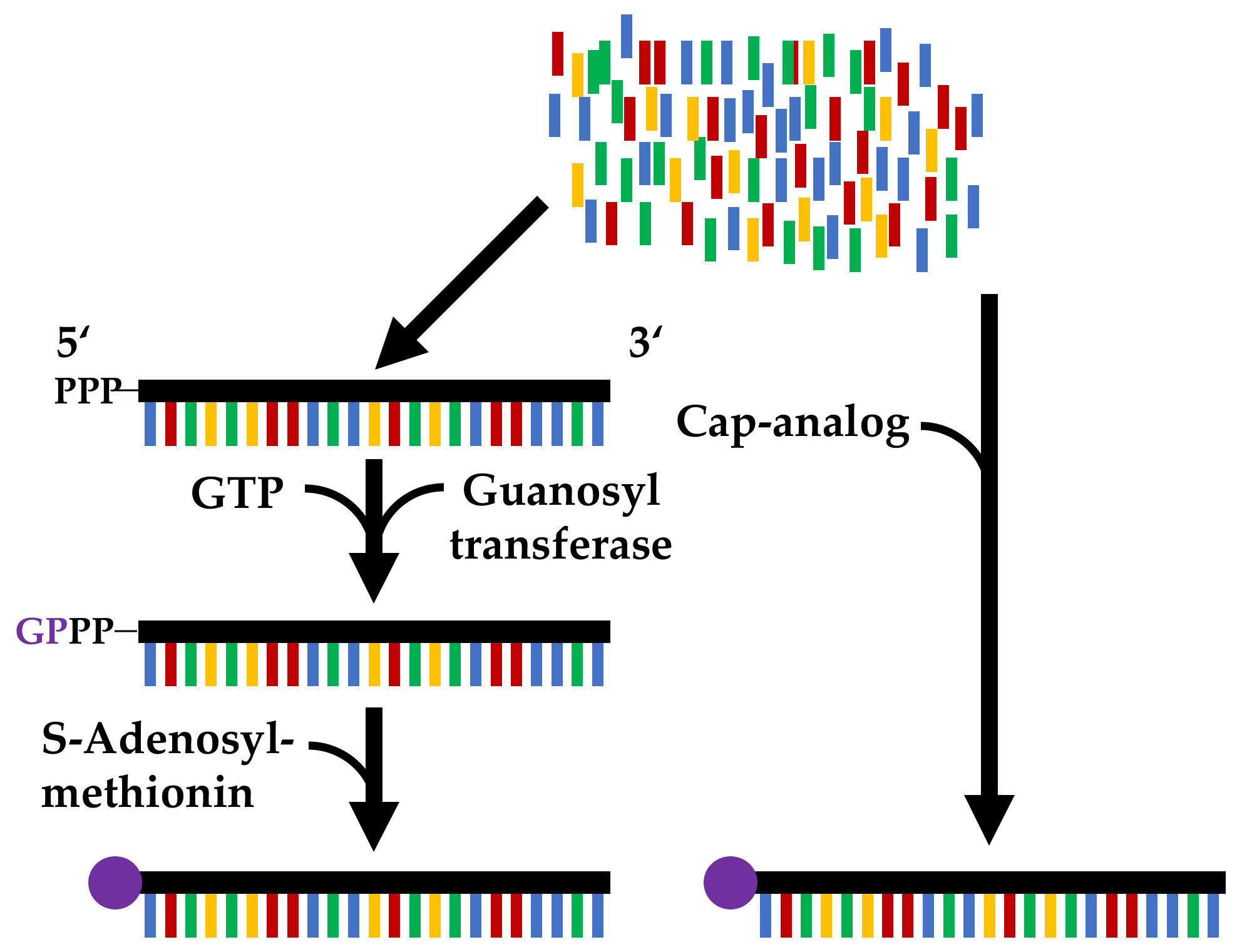 Processes | Free Full-Text | Scalable mRNA Machine for Regulatory ...