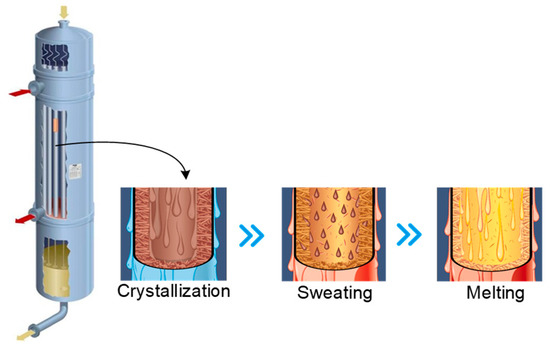 Processes | Free Full-Text | Modeling and Optimization of the Para ...