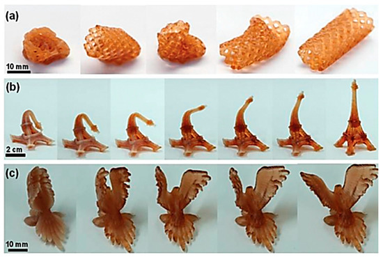 Polymer/Graphene Nanocomposites via 3D and 4D Printing—Design and ...