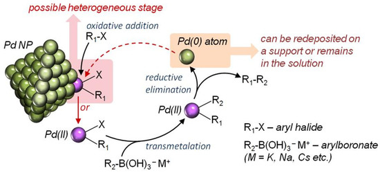 Kinetic Aspects of Suzuki Cross-Coupling Using Ligandless Pd ...
