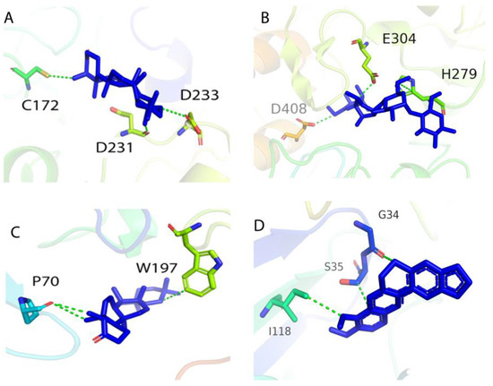 Isolation, Structural Elucidation, In Vitro Anti-α-Glucosidase, Anti-β ...