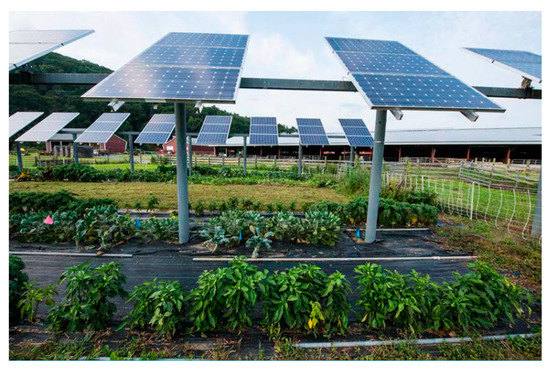 Agrivoltaic, a Synergistic Co-Location of Agricultural and Energy Production in Perpetual ...