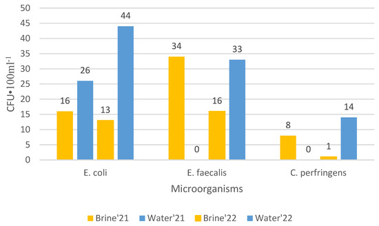 Microbiological Contamination of Brine Feeding a Closed-Cycle Graduation Tower and Its Potential ...