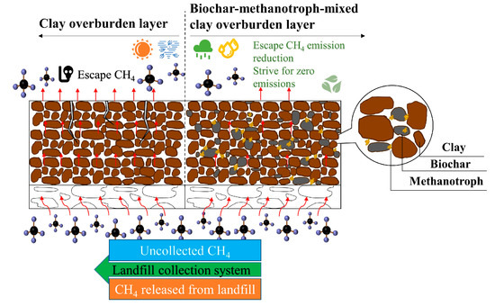 Experimental Study on Small-Strain Elastic Parameters of Biochar ...