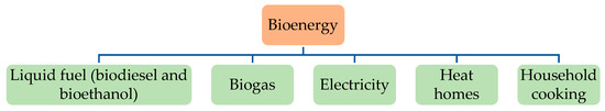 Availability of Biomass and Potential of Nanotechnologies for Bioenergy ...