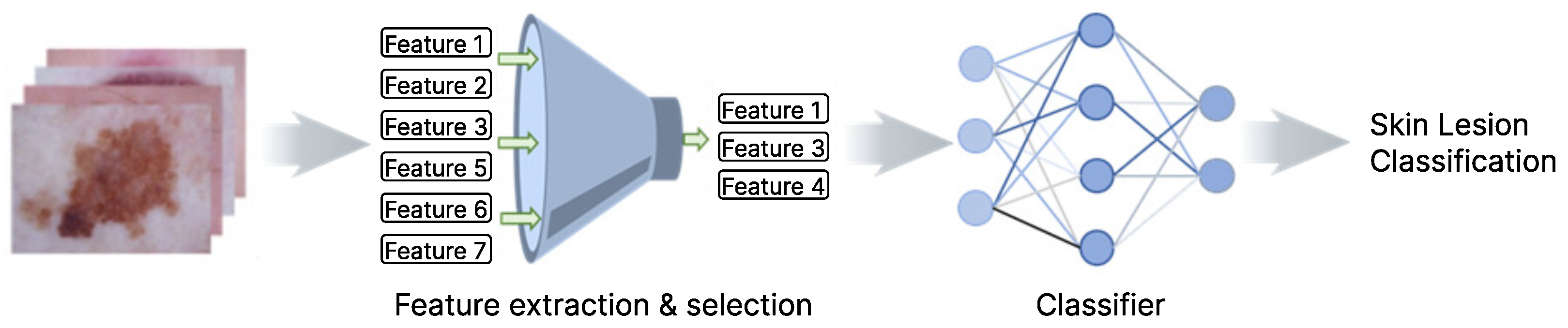 Machine Learning Methods in Skin Disease Recognition: A Systematic Review