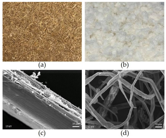 Integrated Biobased Processes for Nanocellulose Preparation from Rice ...