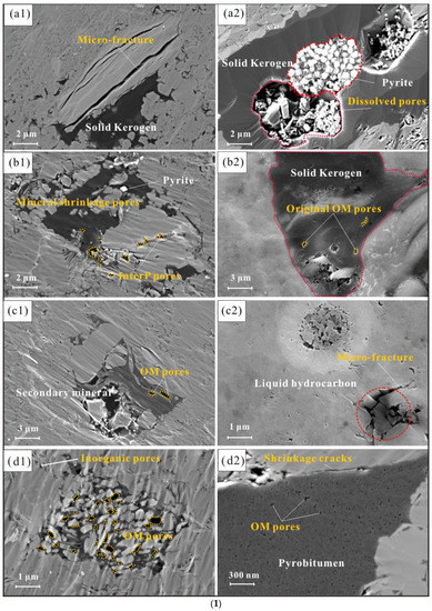 Effect of Formation Pressure on Pore Structure Evolution and ...