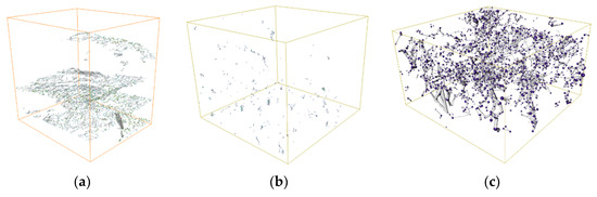 The Study of Multi-Scale Specific Surface Area in Shale Rock with ...