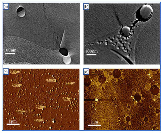 Fast Formation of Hydrate Induced by Micro-Nano Bubbles: A Review of ...